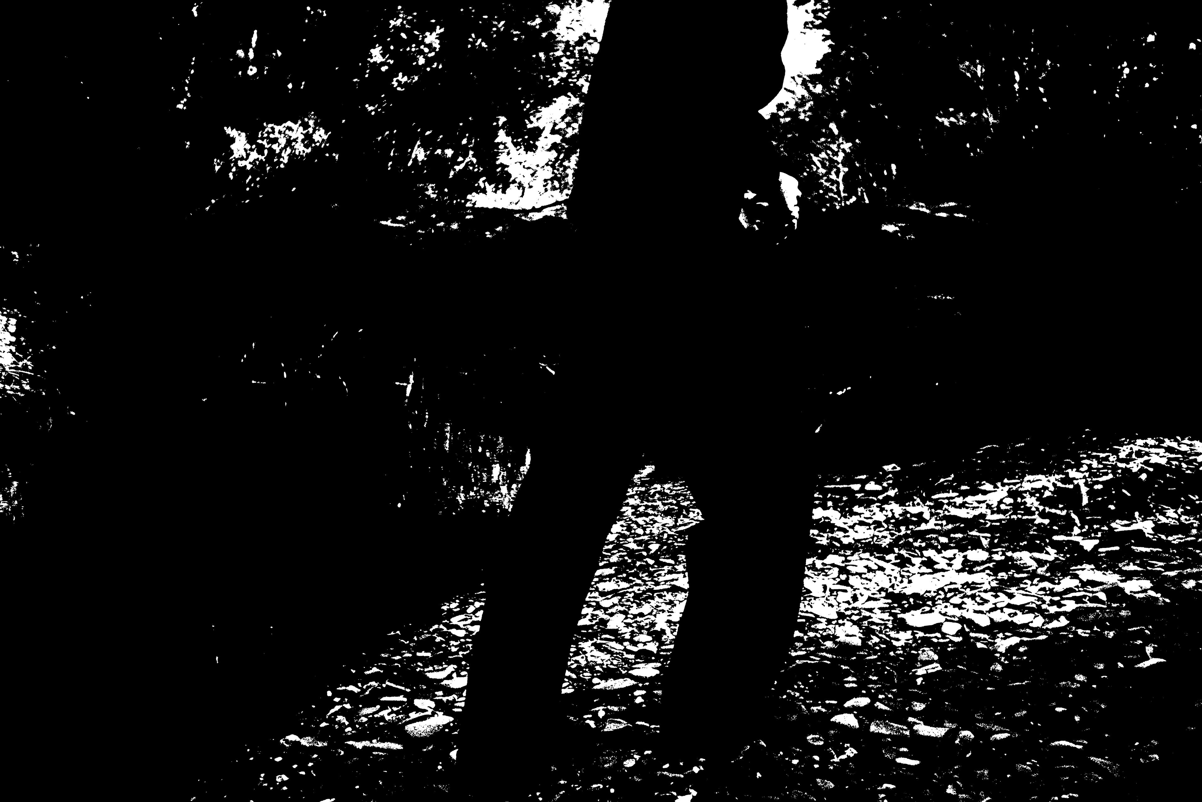 CEZEN | Made In Australia | Shop Online Now